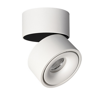 Adjustable Ceiling Mount 125mm – Ambience Systems Queenstown